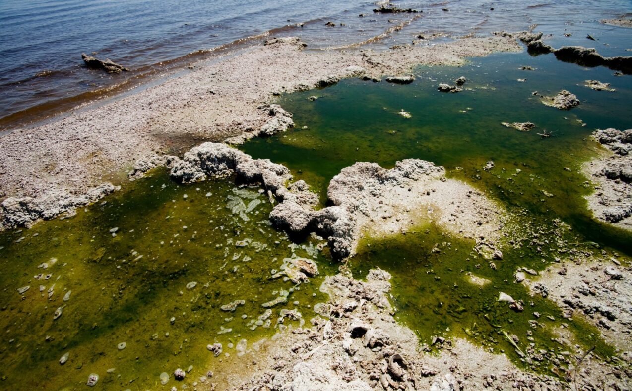 LA Post: Salton Sea emissions exceed safety limits, UCLA warns - The ...